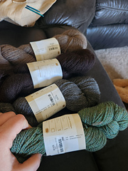Ravelry: Kelbourne Woolens Scout