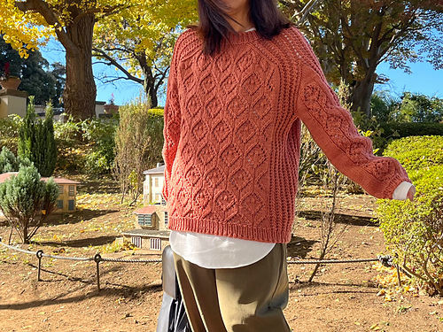 Ravelry: Saji Sweater pattern by Yoko Johnston
