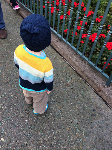 Ravelry: Baby Beluga pattern by Jessica Anderson