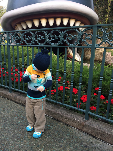 Ravelry: Baby Beluga pattern by Jessica Anderson