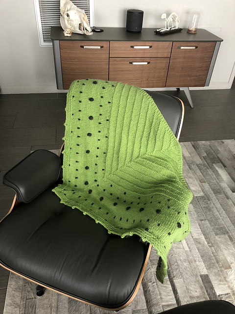 Ravelry: LuciLinks' Ewin test knit