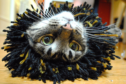 Ravelry: Cat's Mane pattern by Mer Almagro