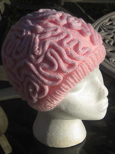 Ravelry: Brain Hat pattern by Alana Noritake