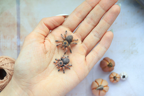 Ravelry: Miniature Tarantula pattern by Anastasia Sarkisian