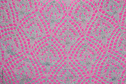 Ravelry: Paon pattern by Kerry Milani