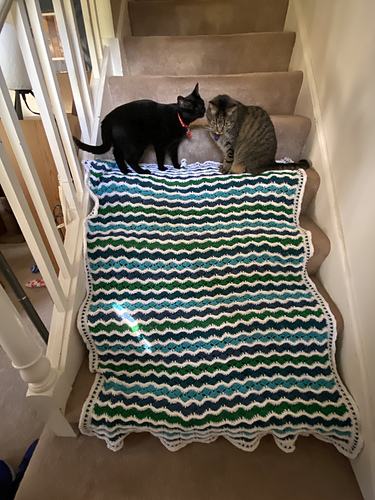 Ravelry: Ophelia Ripple Blanket pattern by Julie Yeager