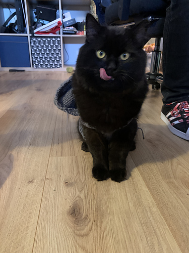 Scruffy Shower Puffy – Nicole Maakt