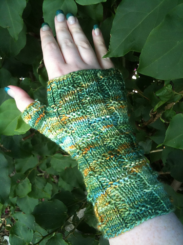 Ravelry: Bamboo Field mitts pattern by Holly Terrell