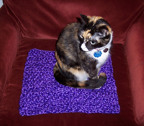 Ravelry: Single-Double Snuggle pattern by Rae French