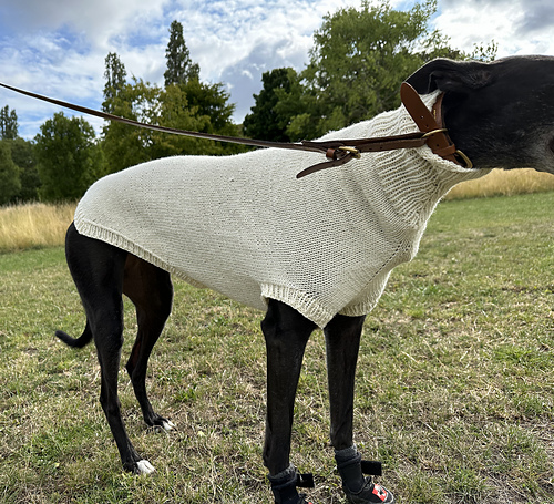 Ravelry: Greyhound sweater pattern by jessbijl