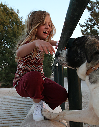 Ravelry: Okapi Summer Kit / Okapi sommersett pattern by Heidi - Pickles