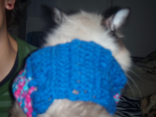 Ravelry: Doggie Shrug pattern by Molly Mahoney (Mollymade)