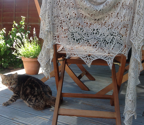 Ravelry: Spellbound pattern by Boo Knits