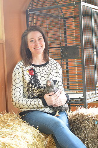 Ravelry: All Cooped Up Sweater pattern by Caitlin Shepherd