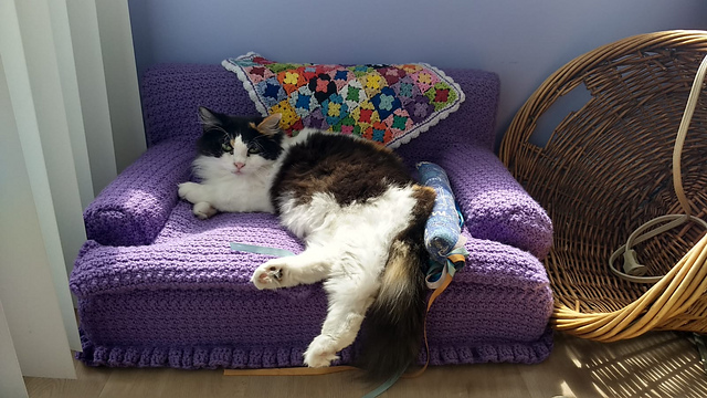 Ravelry: pmache's crochet cat couch