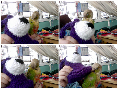 Ravelry: From the Brain Slug Planet pattern by Steph Michaud