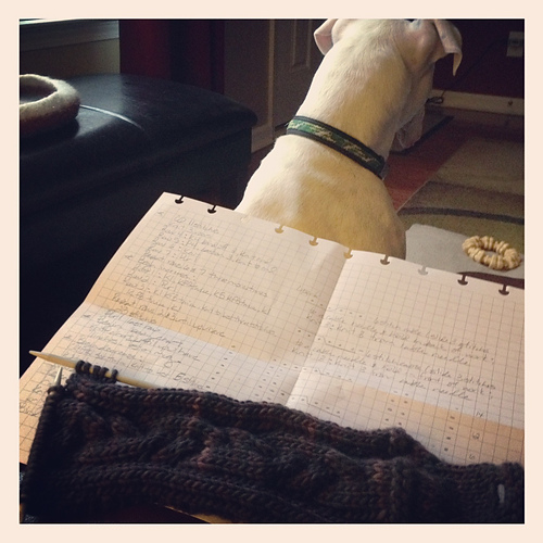 Ravelry: Mojo pattern by Michelle Odgers