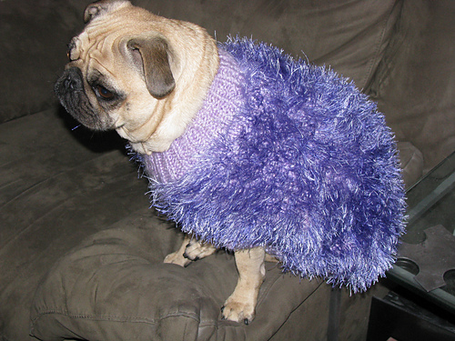 Ravelry: Dog Fur Coat pattern by Lion Brand Yarn