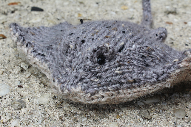 Ravelry: Stingray pattern by Rachel Borello Carroll