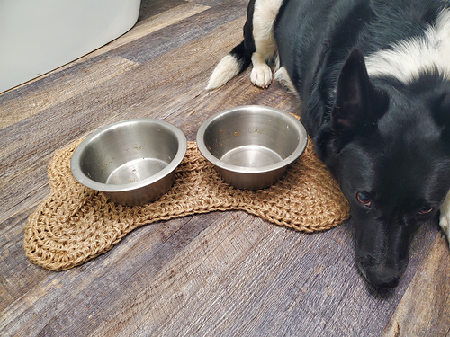 Ravelry: Dog Bone Bowl Mat pattern by Rachel Rae Crochet