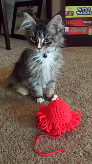 Ravelry: raekess' Squibbly Kitty Toy