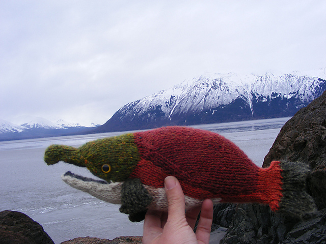Ravelry: Sockeye Salmon pattern by Christie Rowe