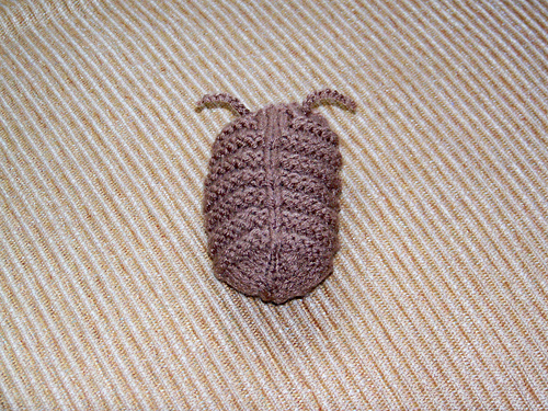 Ravelry: Knit Trilobite pattern by Madeleine Poirier