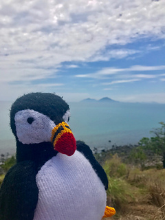 Ravelry: Percival Puffin pattern by Ruth Haydock