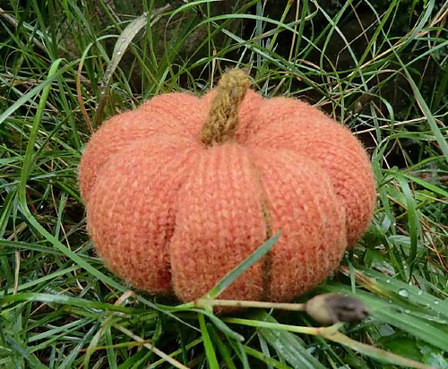 Ravelry: Little Knitted Pumpkins pattern by Sally Pointer/ Wicked Woollens