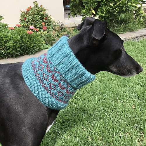 Ravelry: Ginnie’s Snood for Greyhounds pattern by Sandra Levey