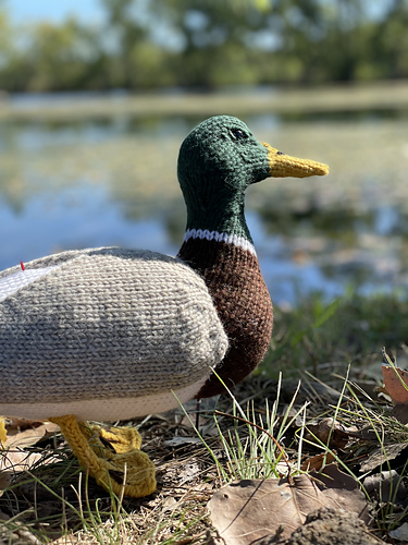 Ravelry: Mallard Duck pattern by Sara Elizabeth Kellner