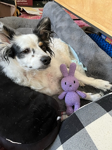 Ravelry: Miffy's Cousin Hippy Bunny pattern by Christine Hebert