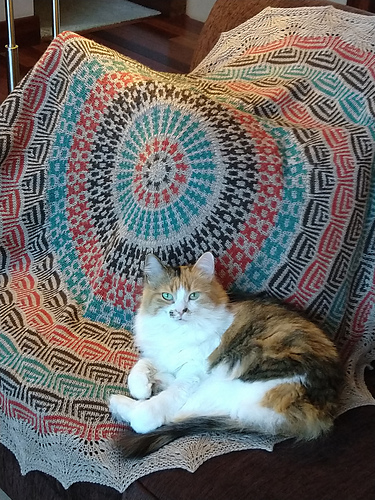 Ravelry: #06 Circular Wrap pattern by Susan Ashcroft