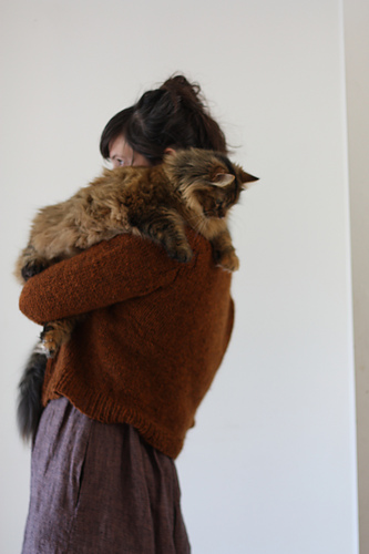 Ravelry: Felix Pullover pattern by Amy Christoffers