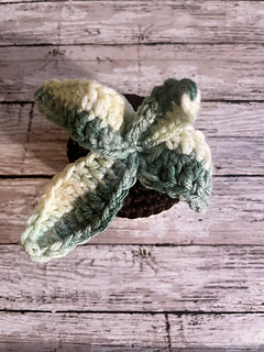 Ravelry: Plant (Albo) pattern by Suzy C