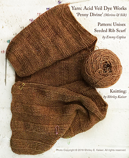 Ravelry: shirleykaiser's Scarf: Penny Seeded Rib