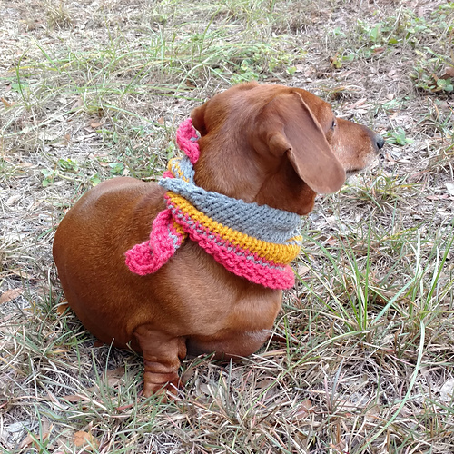 Ravelry: Dachshund Scarf pattern by Devon Finney