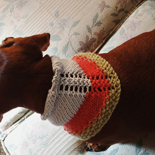 Ravelry: Dachshund Scarf pattern by Devon Finney