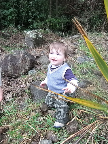 Ravelry: Explorer Vest pattern by Julie Gilliver