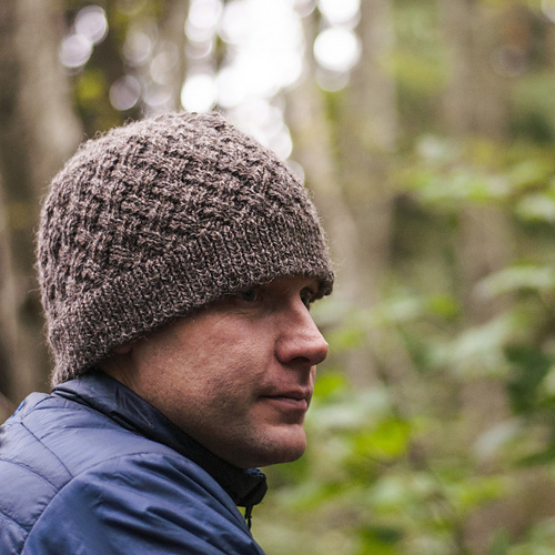Ravelry: Thicket Toque pattern by Catherine Knutsson