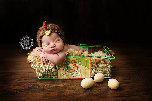 Ravelry: Rooster Chicken Bonnet pattern by Three Birds Patterns