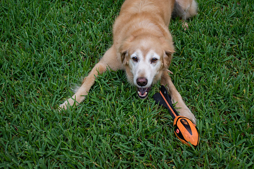 Ravelry: Lacy Summer Poncho pattern by Eebie Cheshire