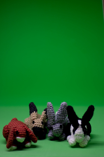 Ravelry: Rowdy Rabbit pattern by Fiona Matters