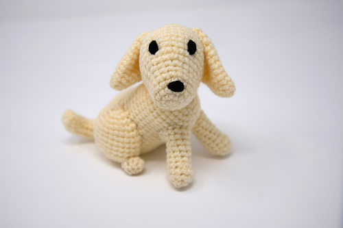 Ravelry: Labrador puppy pattern by Fiona Matters