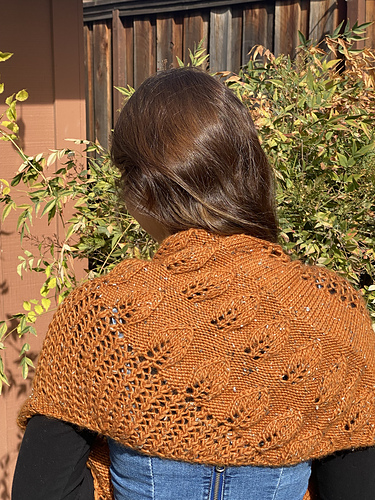 Ravelry: Autumn Open Windows Shawl pattern by Stacey Namaste