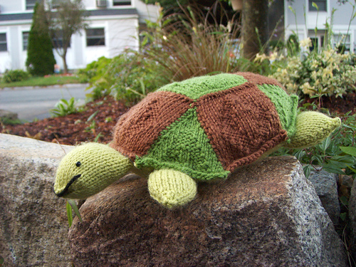 Ravelry: Turtle pattern by Kath Dalmeny
