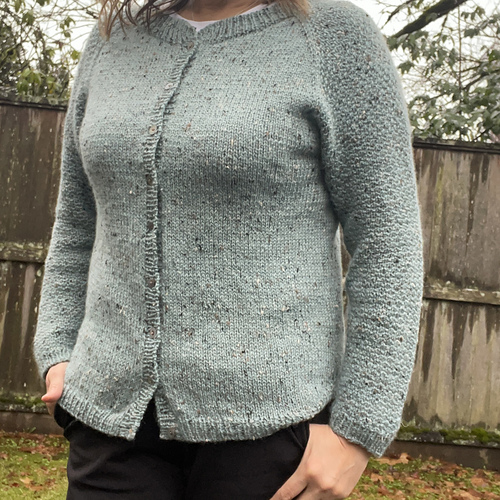 Ravelry: Brooklyn Raglan Cardi pattern by Tori Yu