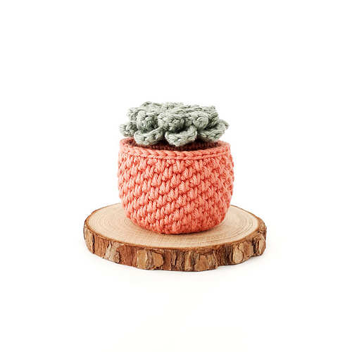 Ravelry: Crochet Succulent pattern by Fay Lyth