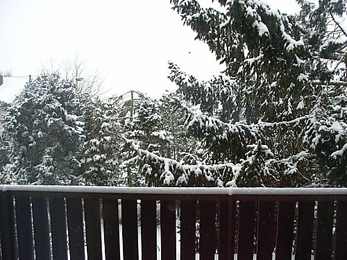 Ravelry: O Tannenbaum pattern by Sandra Jäger