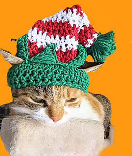 Ravelry: Elfo pattern by Annalisa Cameli